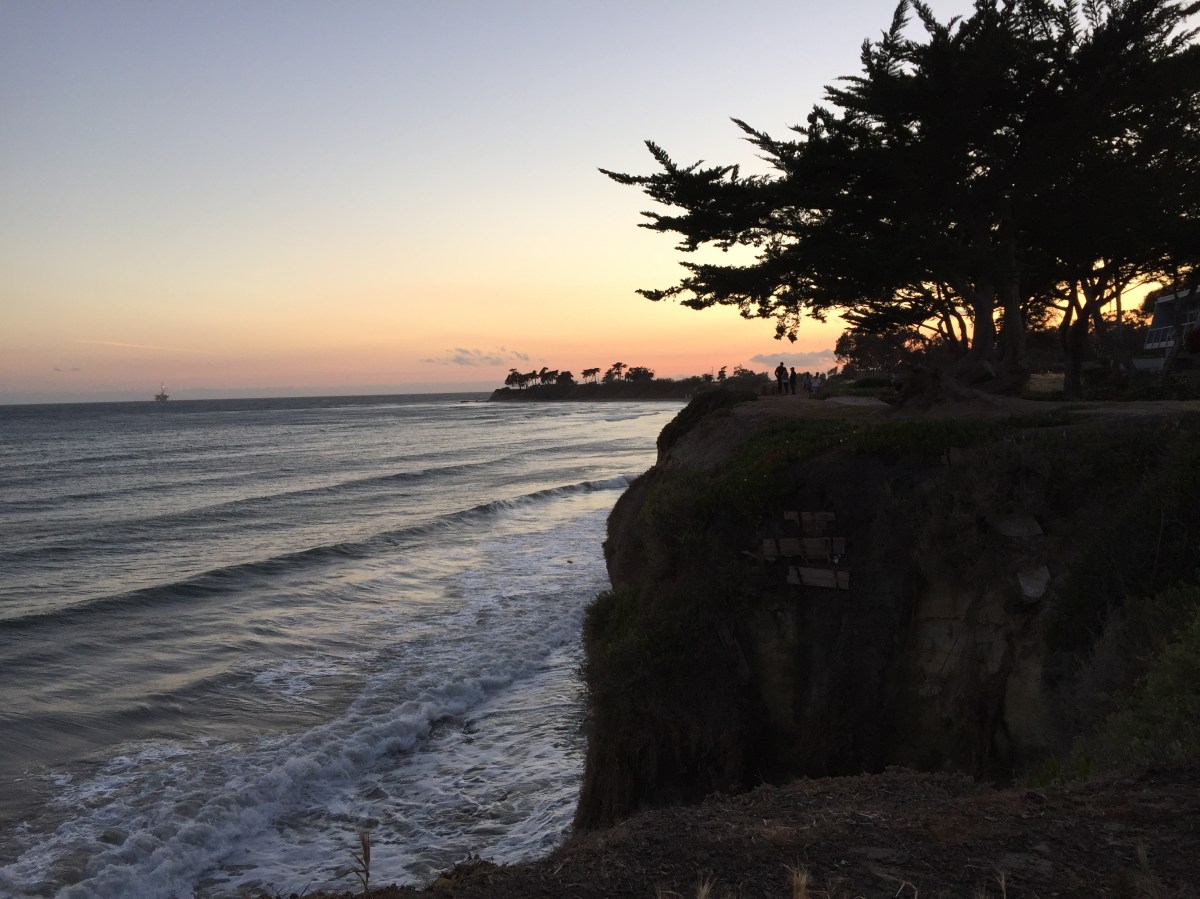 A visitor! – Dr Paige Hoel