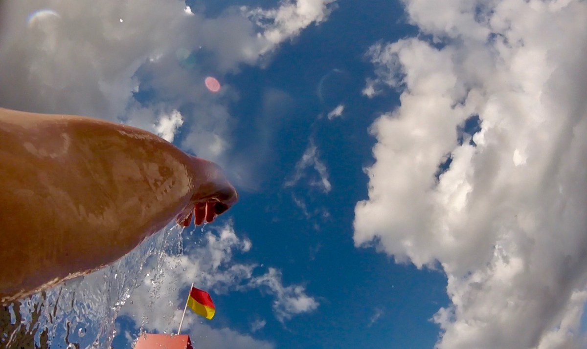 Days nine-thirteen: diving into CPH life – Dr Paige Hoel