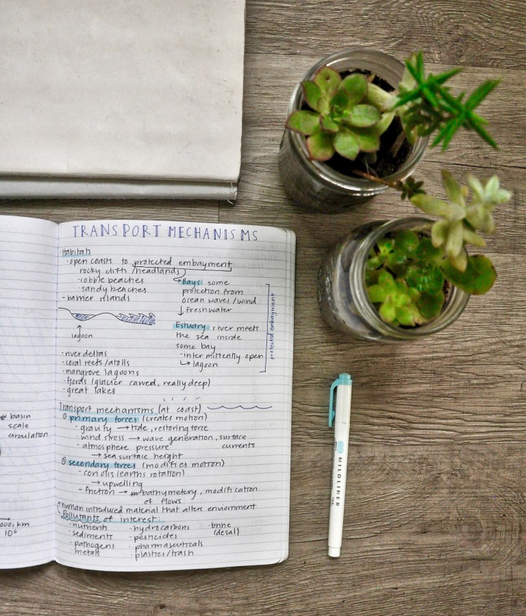 Clean up your NOTES clean up your LIFE – Dr Paige Hoel