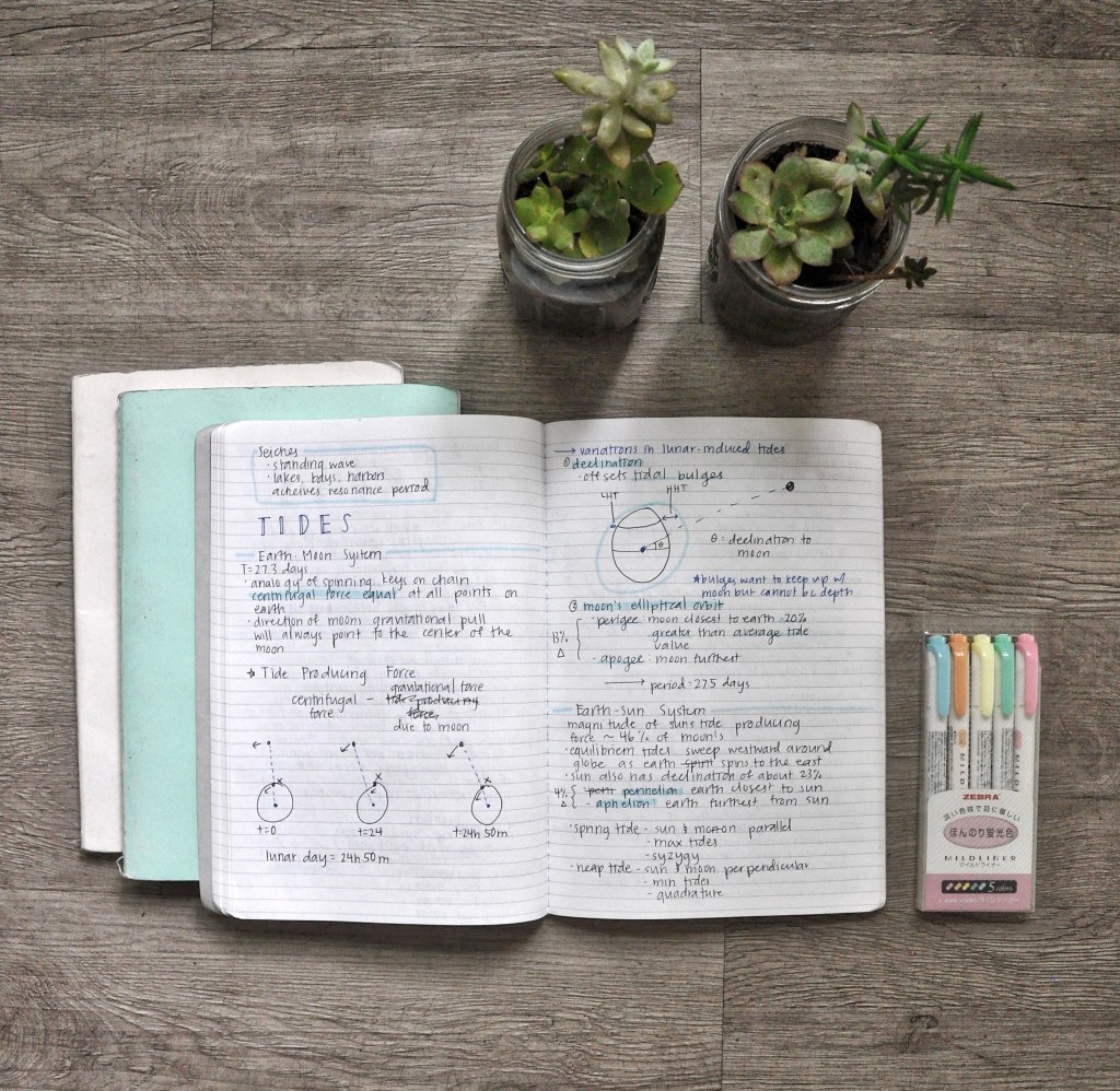 Clean up your NOTES clean up your LIFE – Dr Paige Hoel