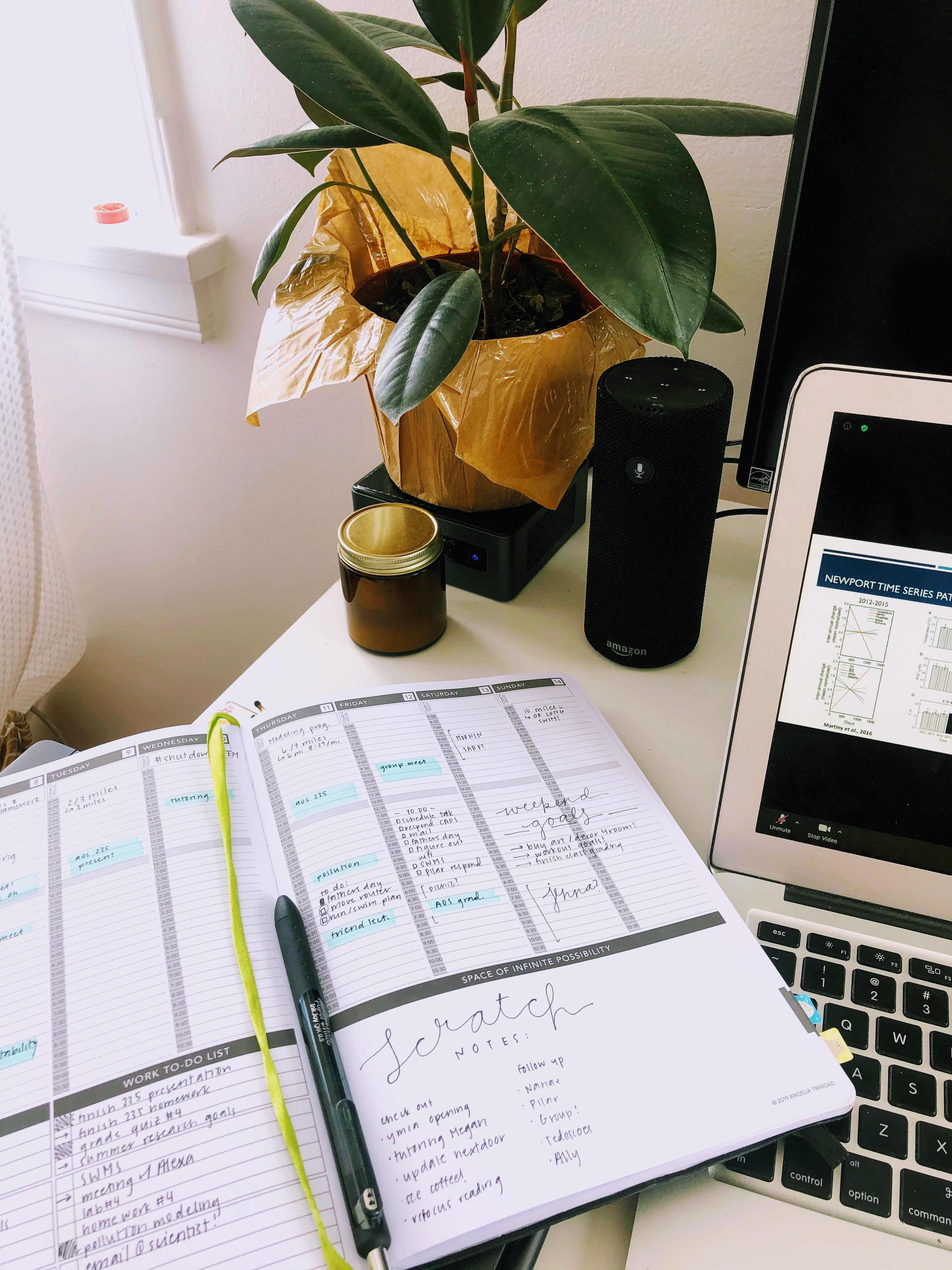 Emailing professors: a general how to – Dr Paige Hoel