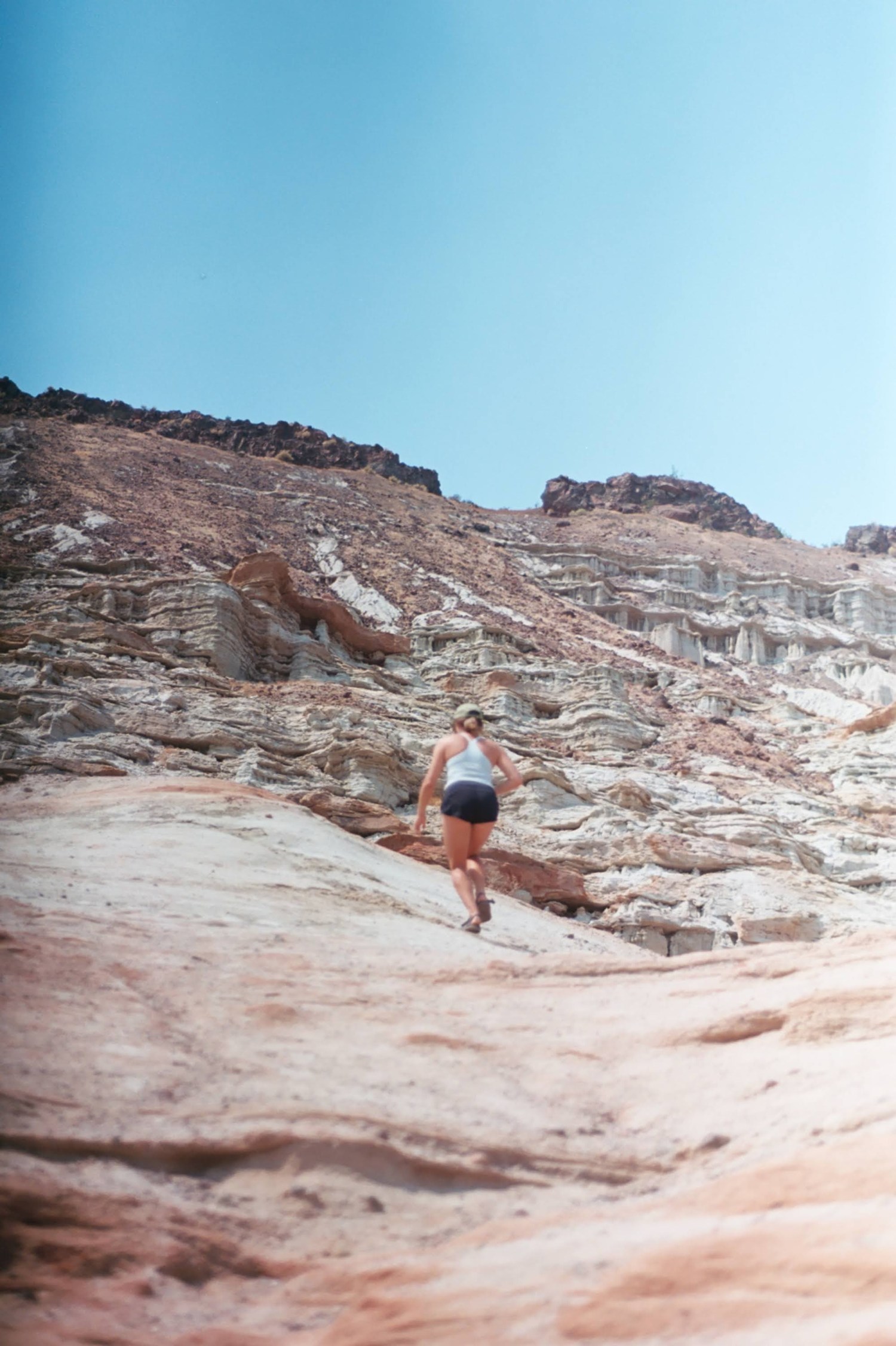 2020 – Dr Paige Hoel